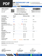 Blood Cancer Report | PDF