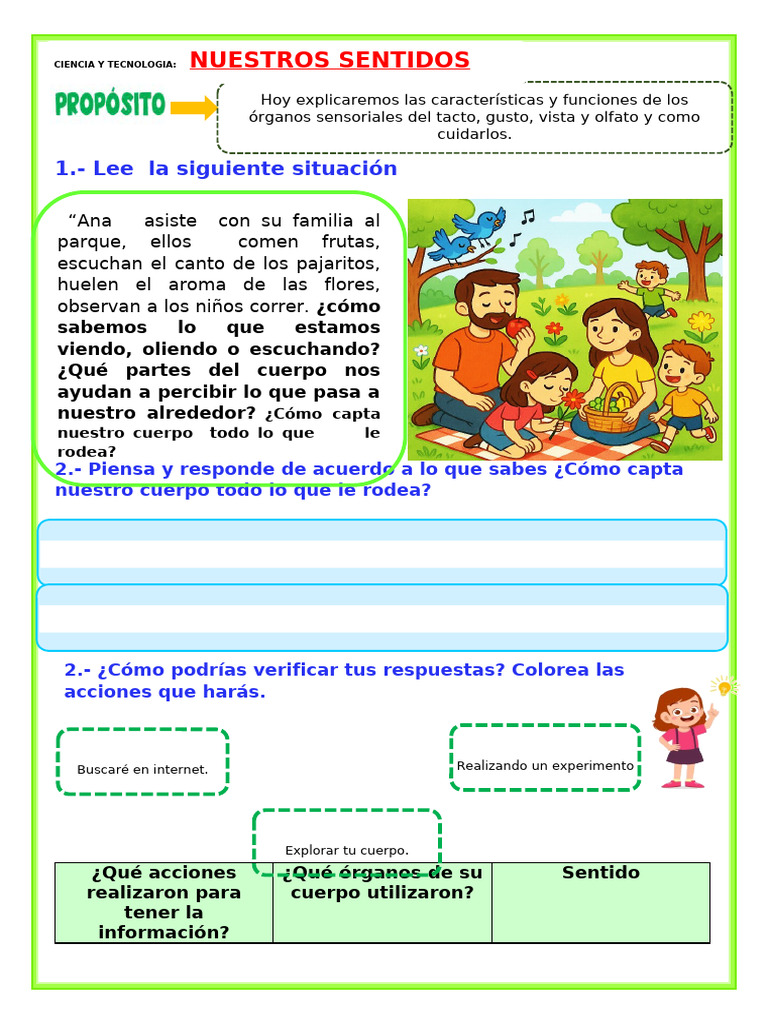 U3 s2 Ficha d3 CT Los Sentidos Maestras de Primaria Del Peru | PDF | Sentidos | Sistema nervioso