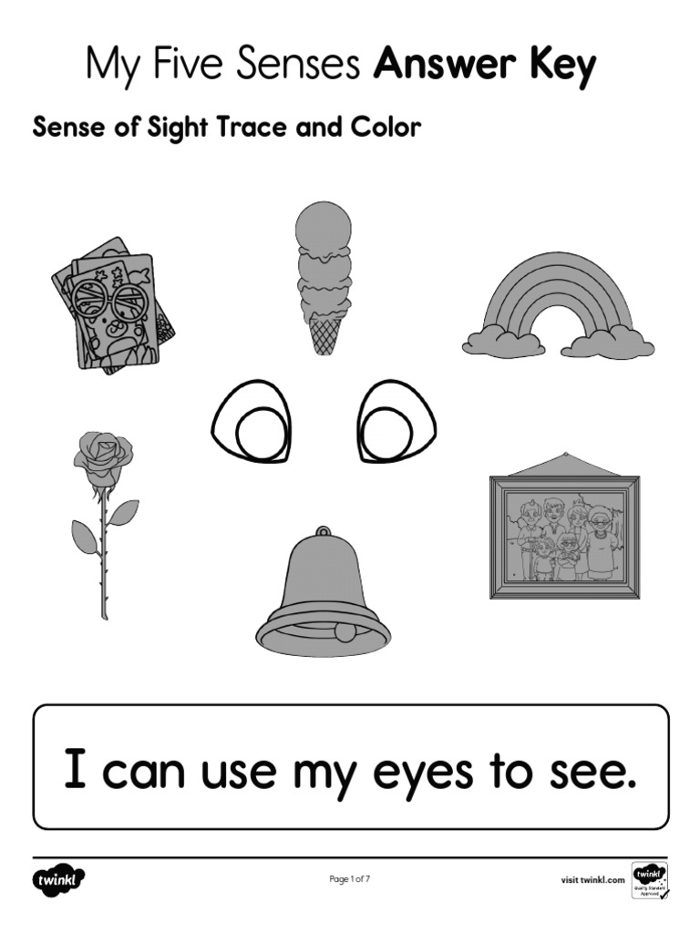My Five Senses Answer Key | PDF