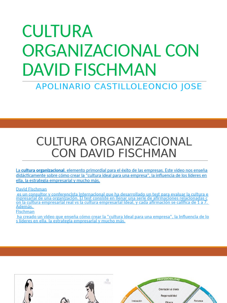Cultura Organizacional Con David Fischman Resumen Apolinario Leoncio | PDF