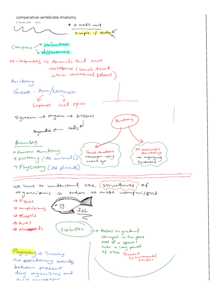 Comparative Vertebrate Anatomy | PDF