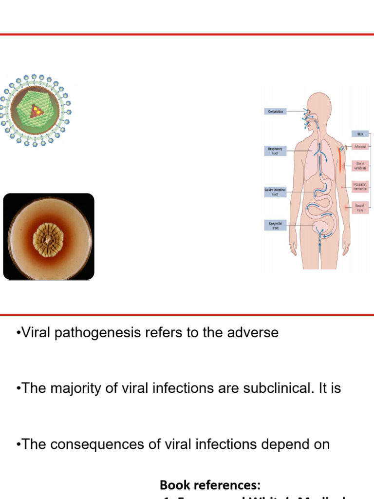 Lecture 1 Viral Pathogenesis 27-01-2025 DSSK | PDF | Epithelium | Lung