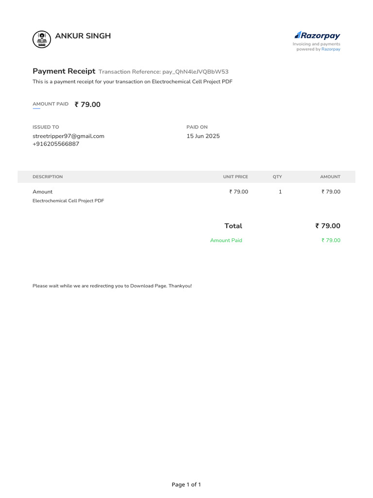 Electrochemical Cell Project Receipt | PDF