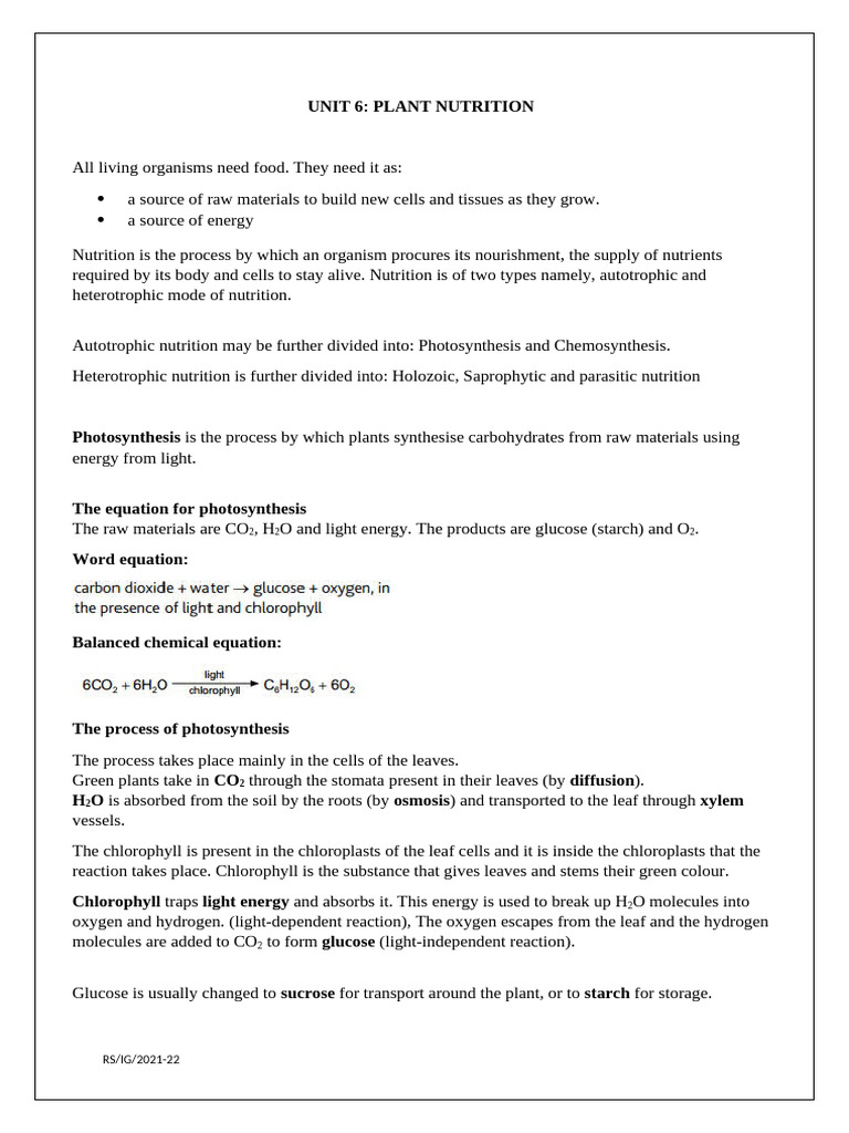 Chapter 6 - Plant Nutrition | PDF | Photosynthesis | Leaf
