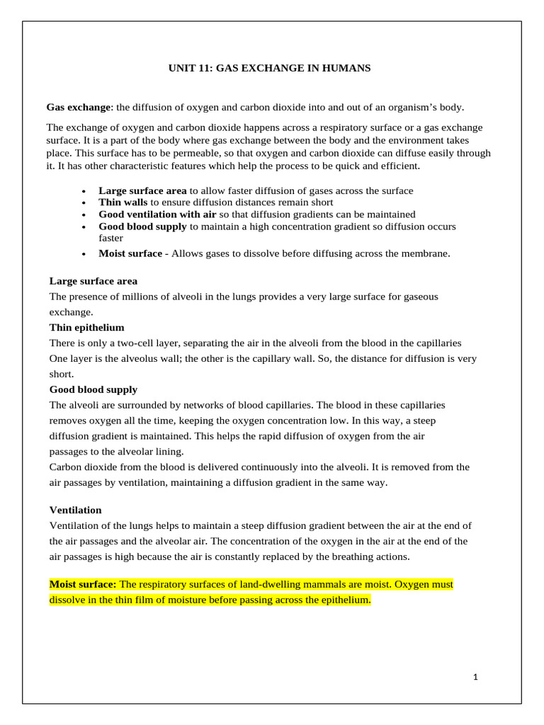 Ch. 11 Gas Exchange in Humans | PDF | Breathing | Lung