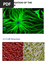 Cell Structure A Level Biology Notes | PDF | Wellness