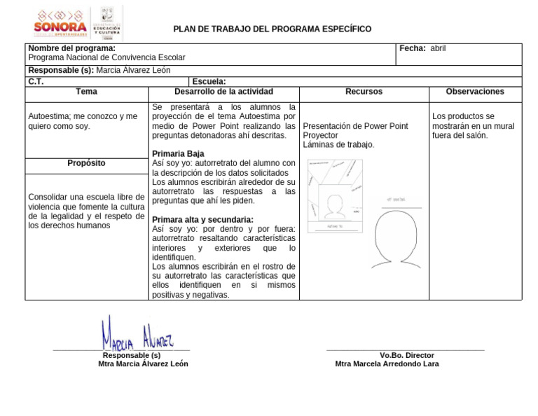 Plan de Trabajo Del Programa Específico | PDF