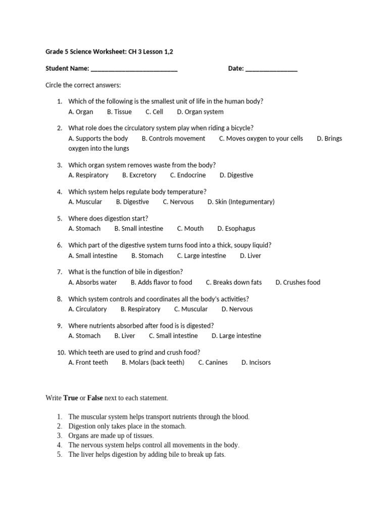 Grade 5 Science Worksheet CH 3 L1,2 | PDF | Human Digestive System ...
