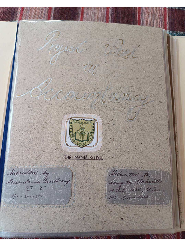 Accountancy Project File | PDF