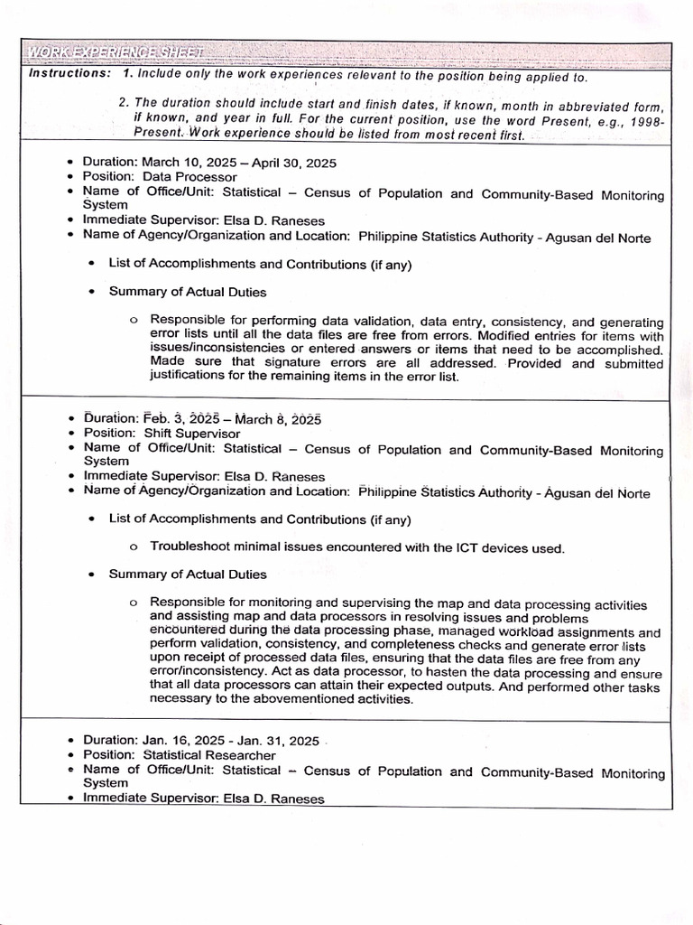 Work Experience Sheet | PDF