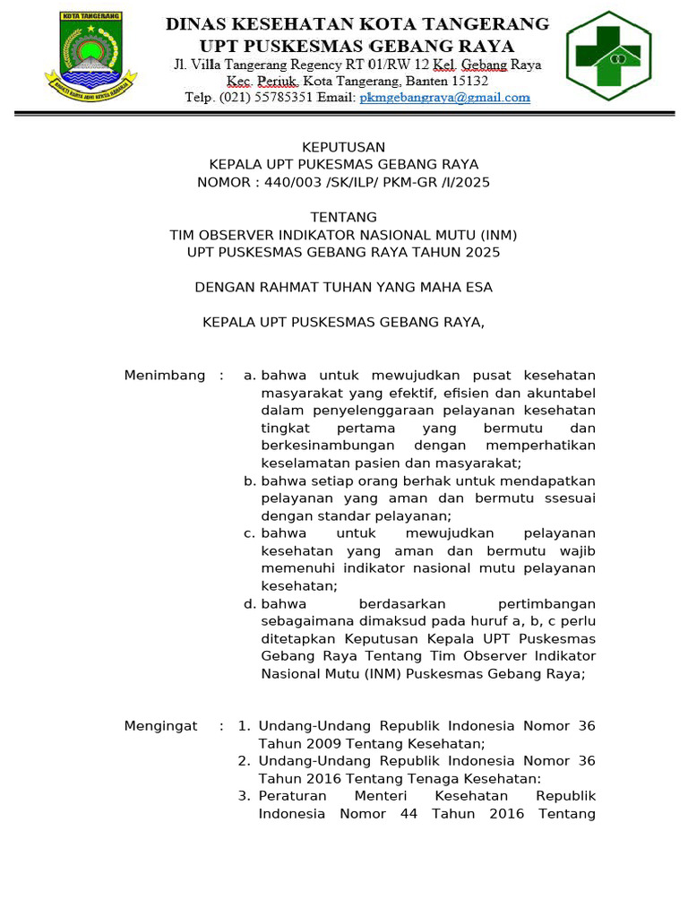 Tim Observer INM Puskesmas 2025 | PDF