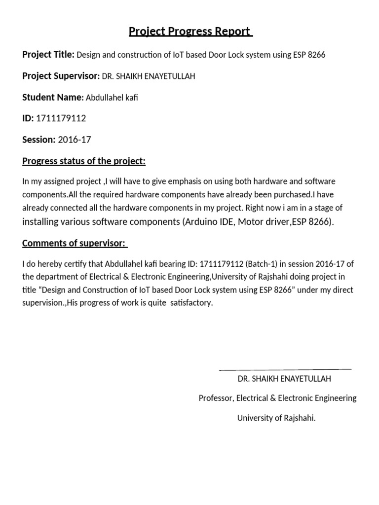 Project Progress Report | PDF