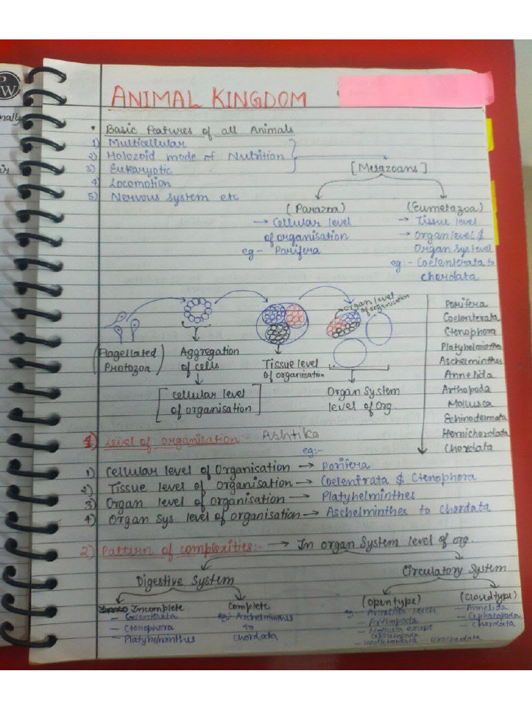 Animal Kingdom Notes (Ashtika) | PDF