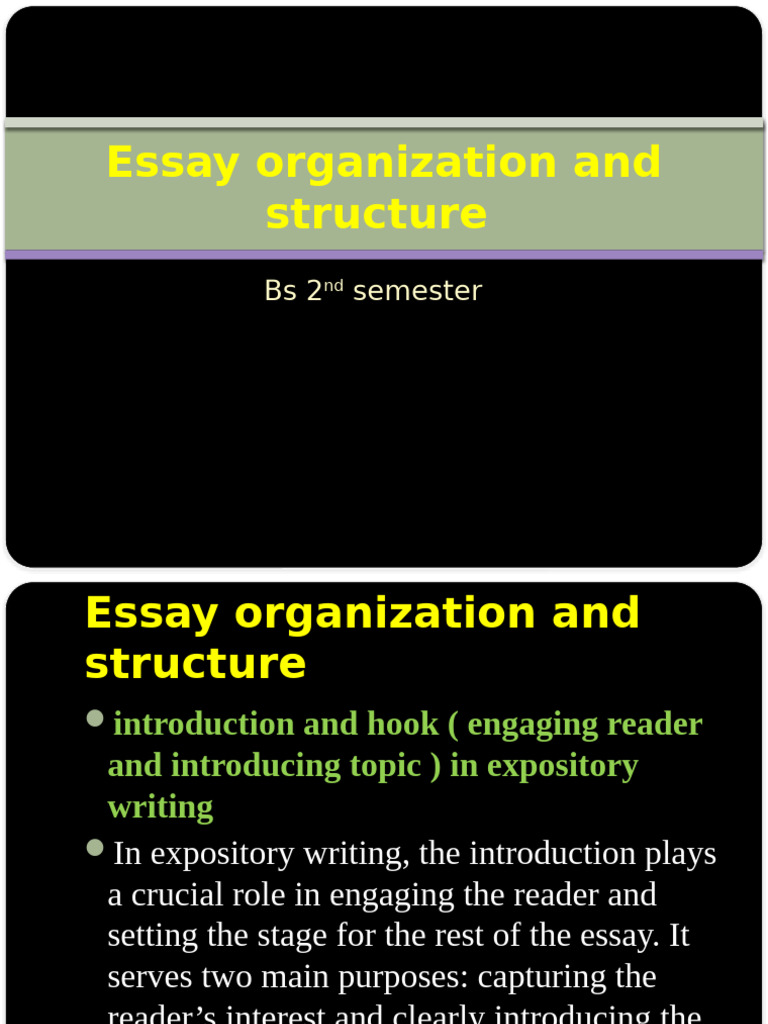 Essay Organization and Structure | PDF | Essays