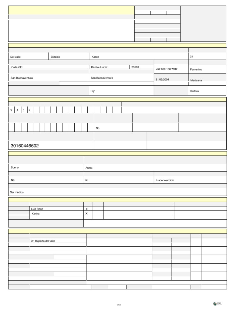 Sne Solicitud de Empleo Plantilla PDF | PDF