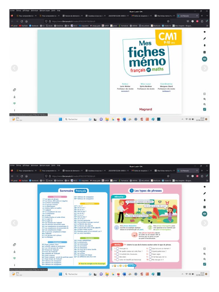 Fiches Memo Francais Maths Magnard Cm1 | PDF