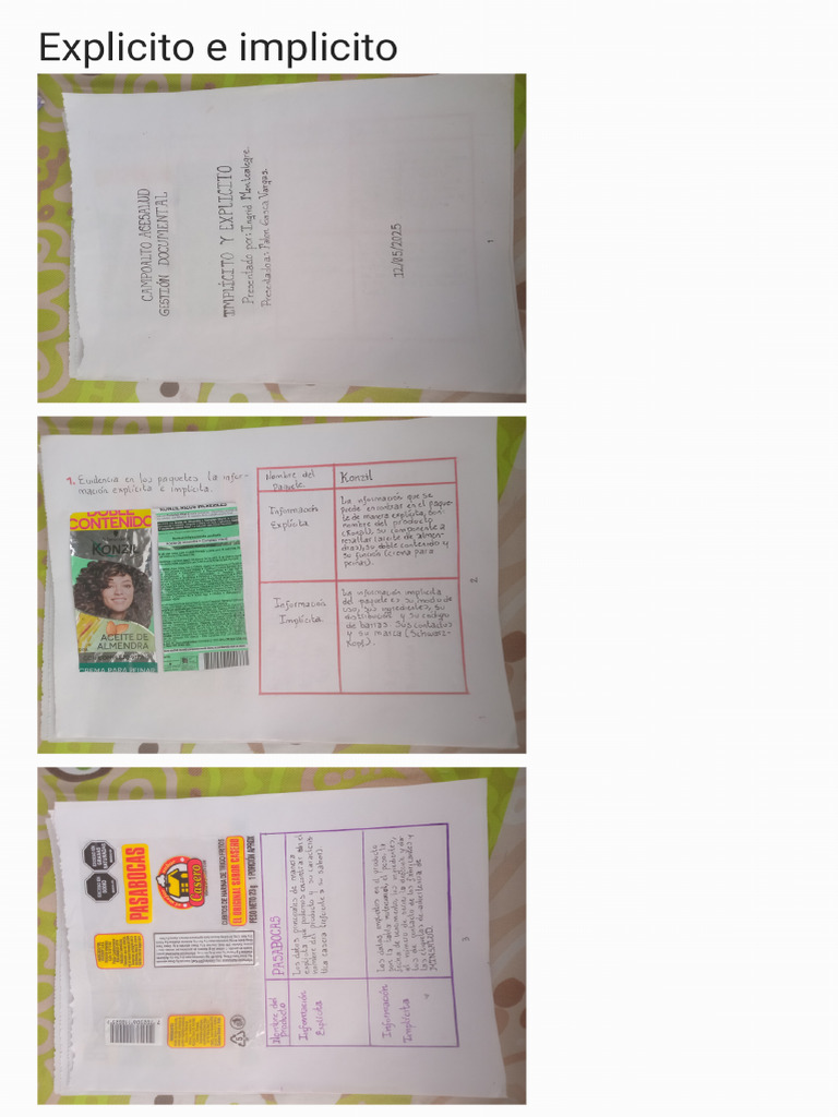 Elaborar Documentos | PDF