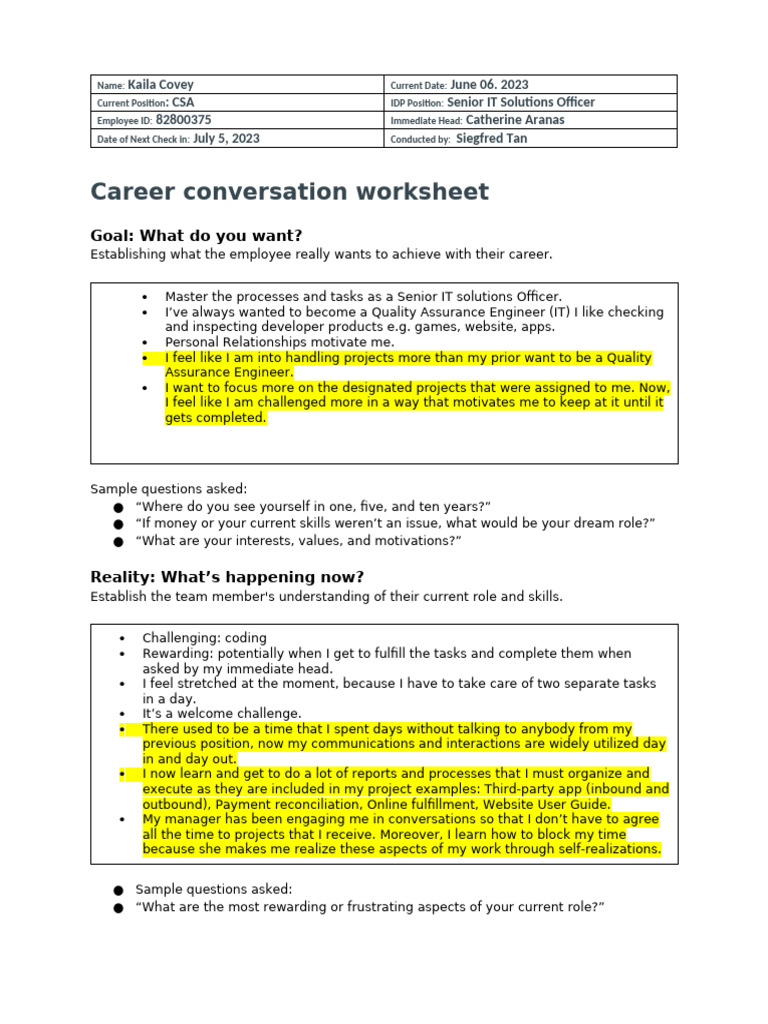 Career Development Plan for IT Solutions Officer | PDF | Social ...