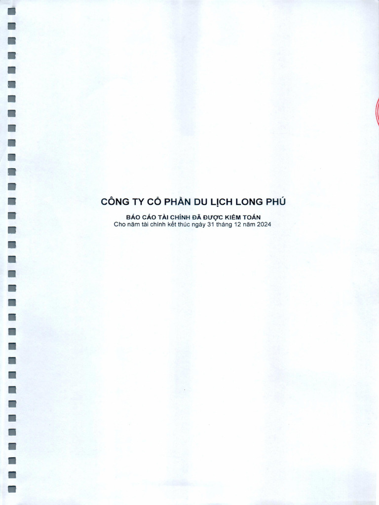 6.BCTC Da Kiem Toan 2024 Long Phu | PDF