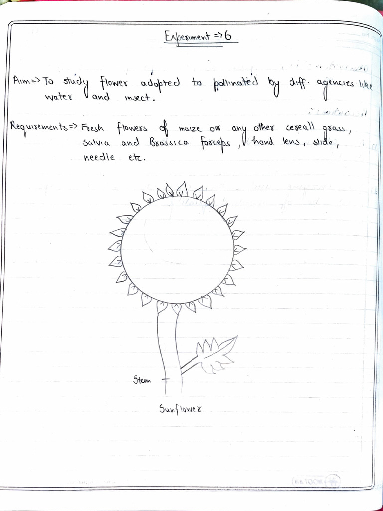 Biology Practical File 6 To 11 | PDF