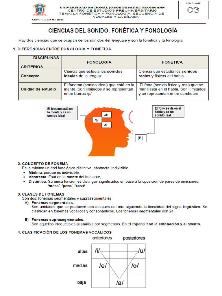 Fonética y Fonología-Comcurrencia Vocálica-Sílaba 2025 | PDF