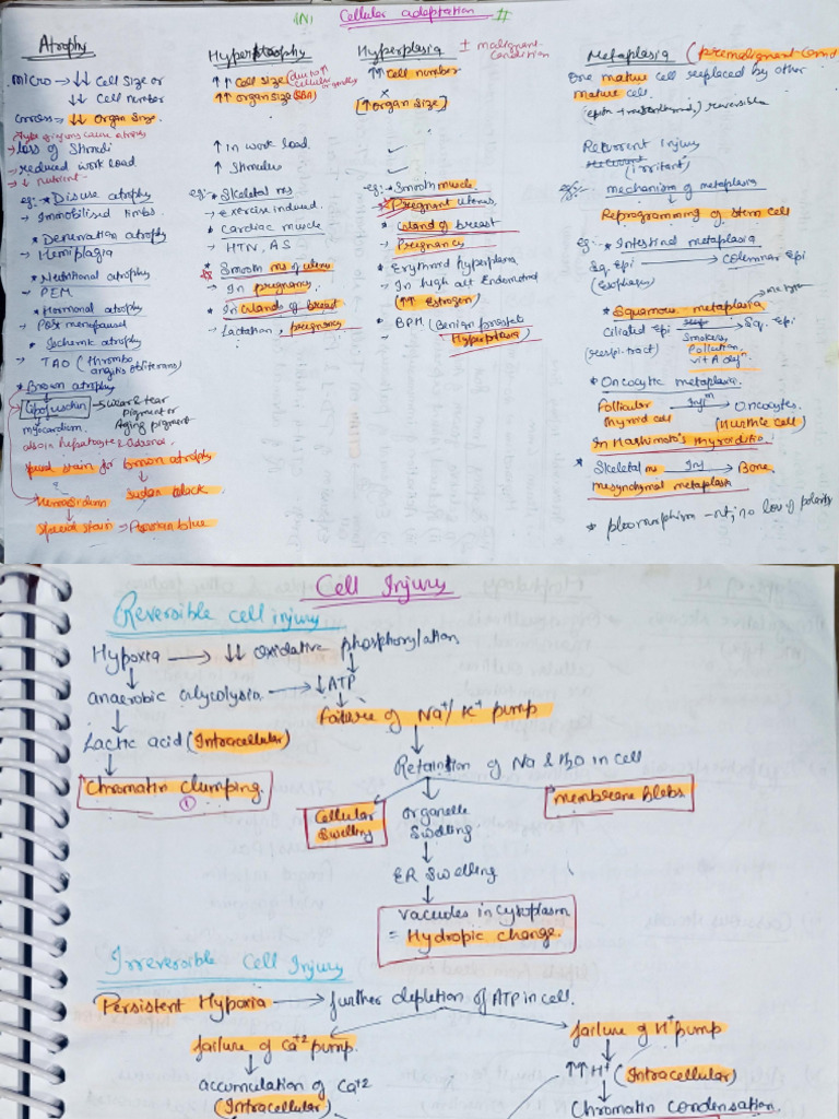 Patho Pharma KND Notes | PDF