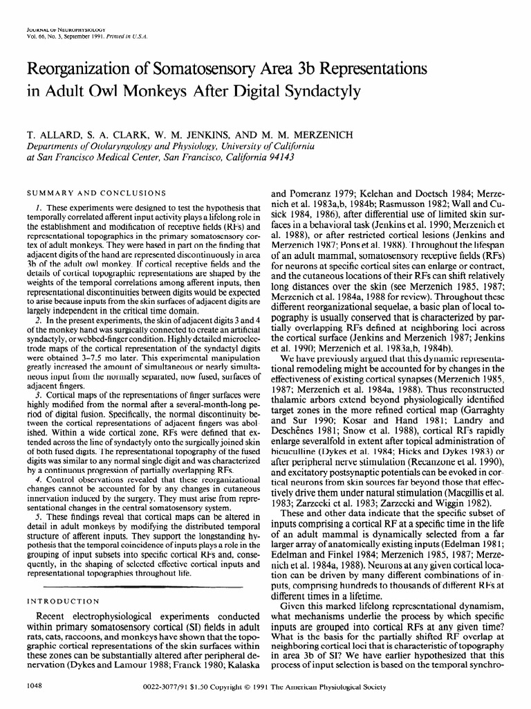 Allard Et Al 1991 Reorganization of Somatosensory Area 3b ...