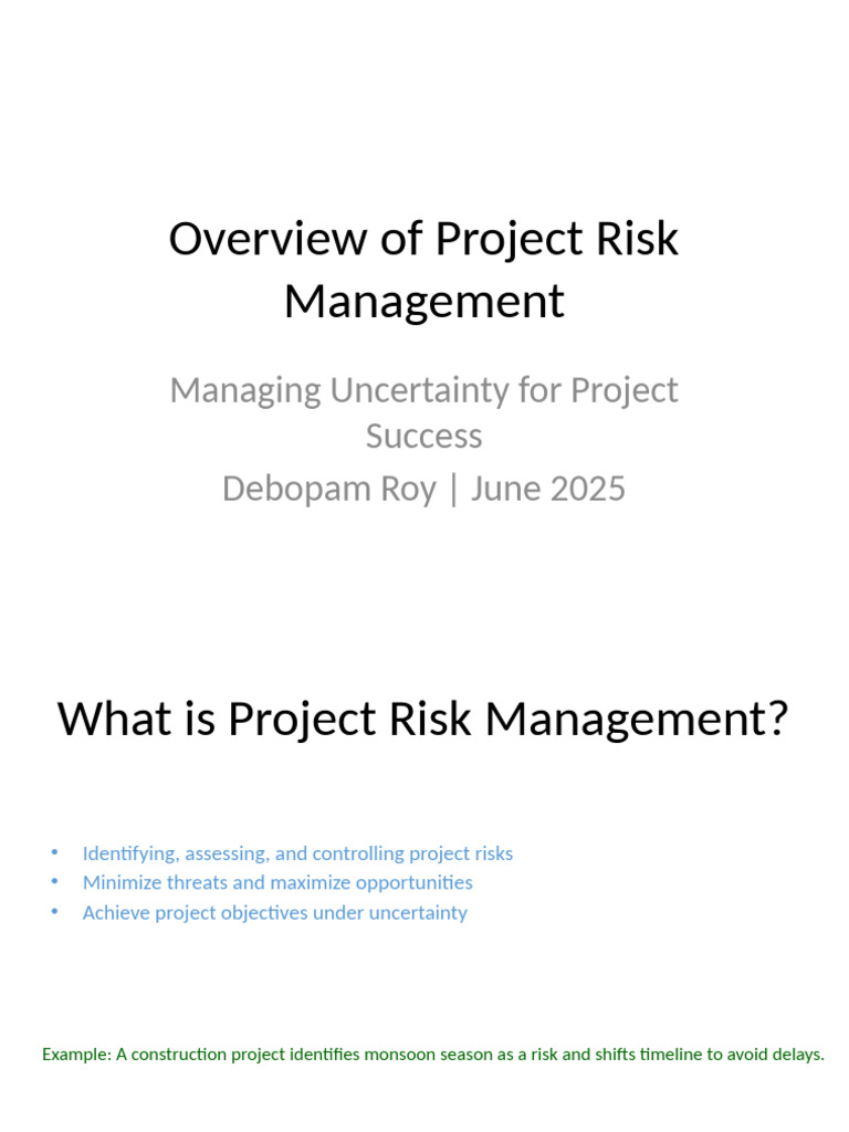 Styled Project Risk Management Overview | PDF