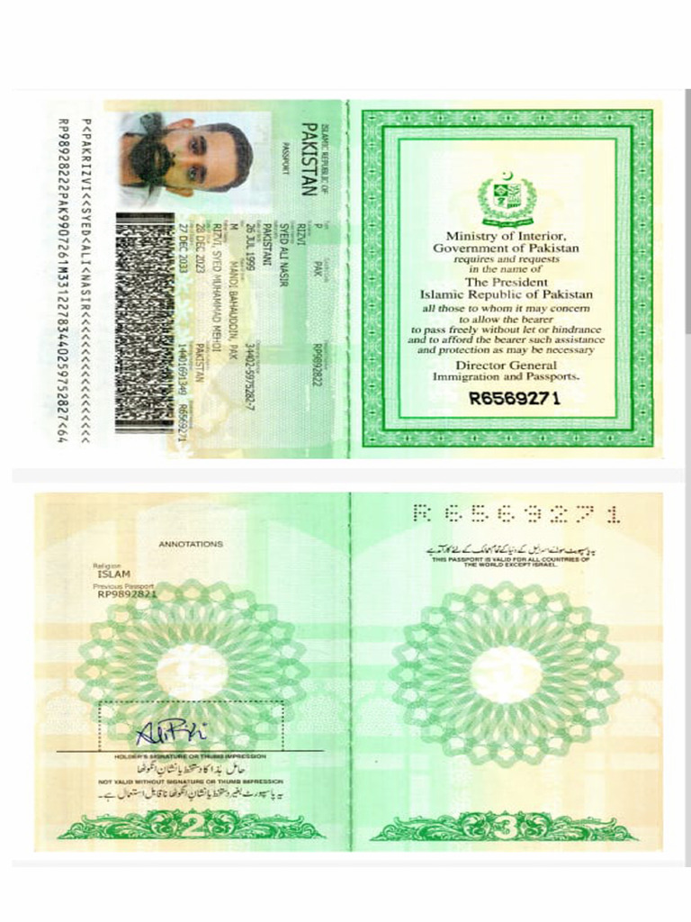 Passport Rizvi, Syed Ali Nasir | PDF
