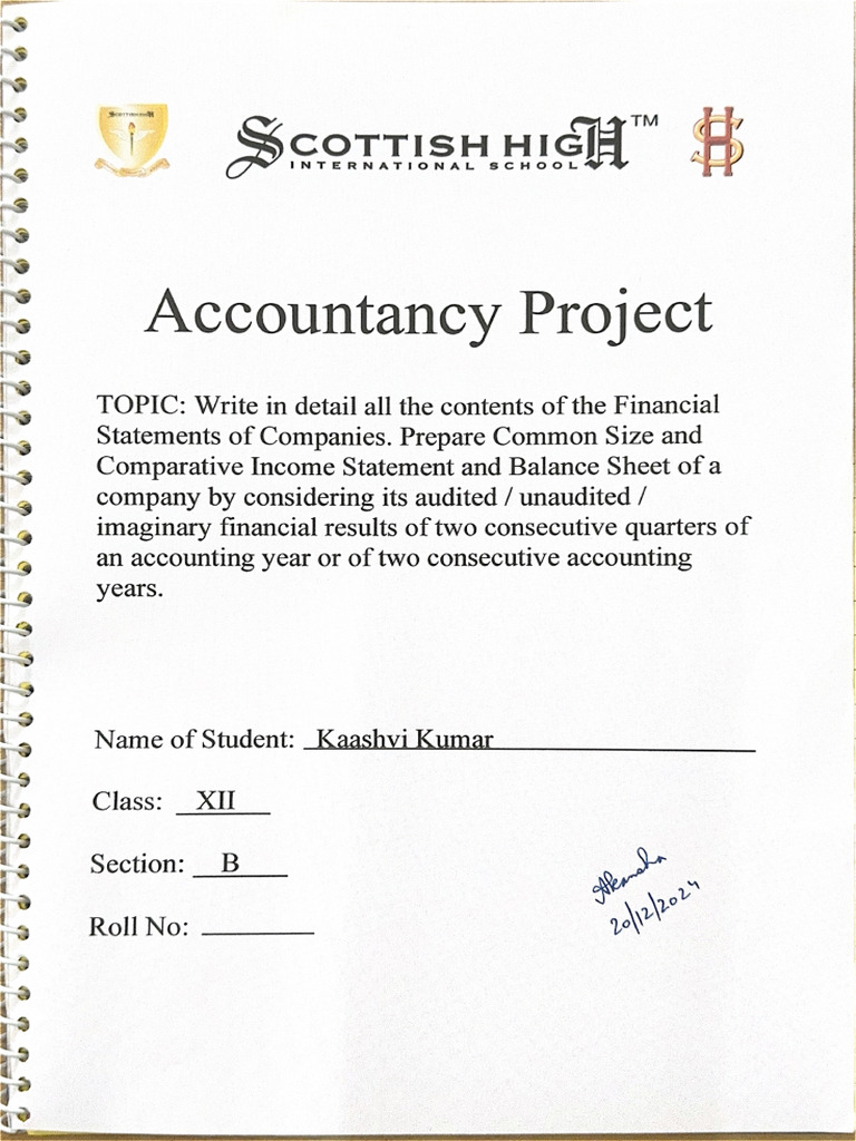 Accountancy Project - Financial Statements | PDF