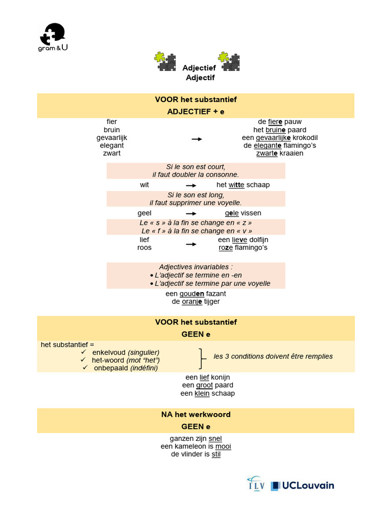 Handout Adjectief | PDF