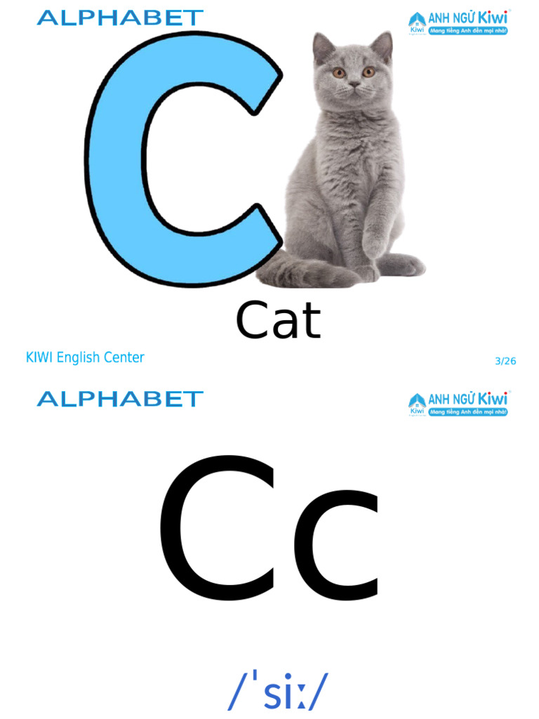 C Cat | PDF
