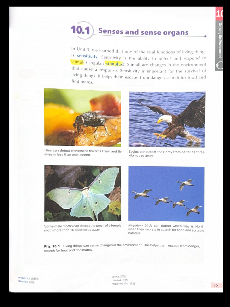 Aristo Science IS TB CH.10.1-10.2 | PDF