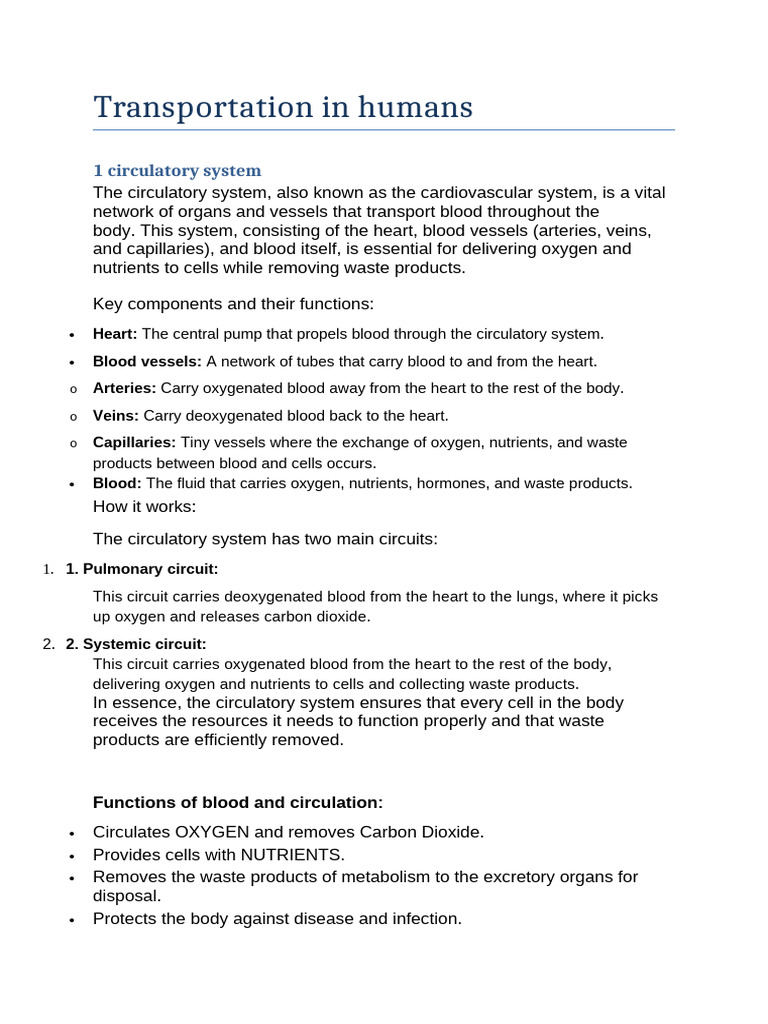 Transportation in Humans | PDF