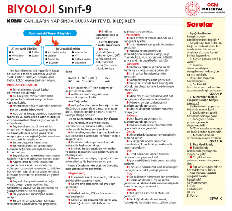 Konu Özetleri - OGM Materyal | PDF