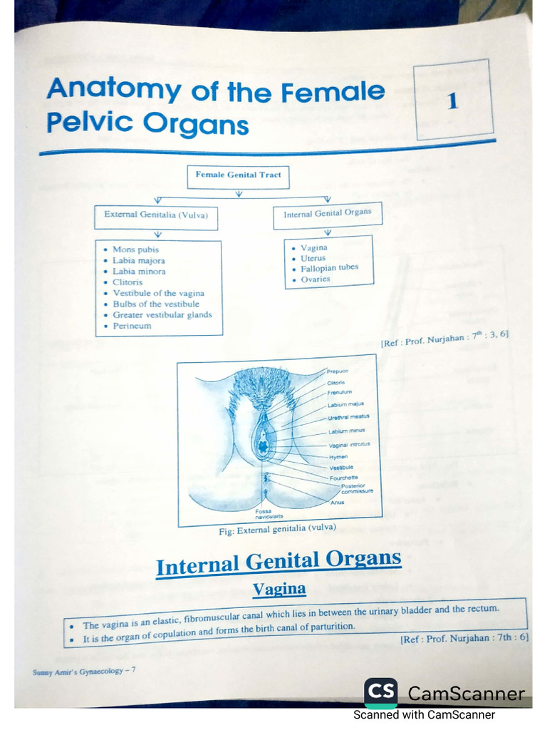 Chap 1-10 Gynaecology | PDF