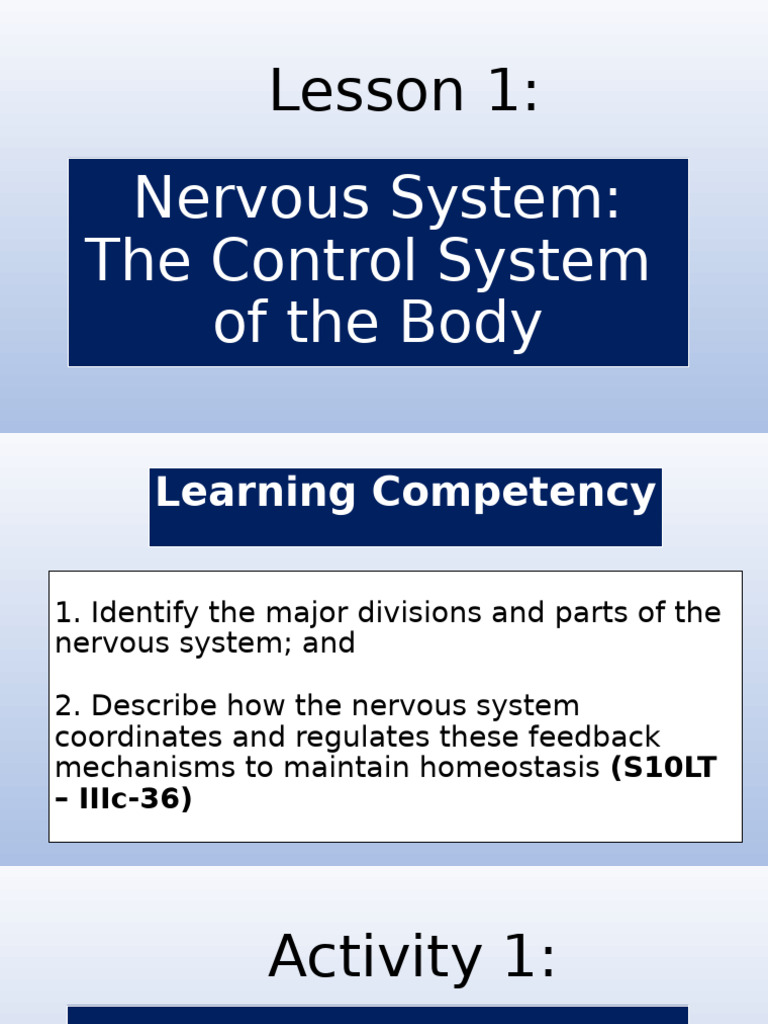Lesson 1 Nervous System | PDF | Nervous System | Neuron