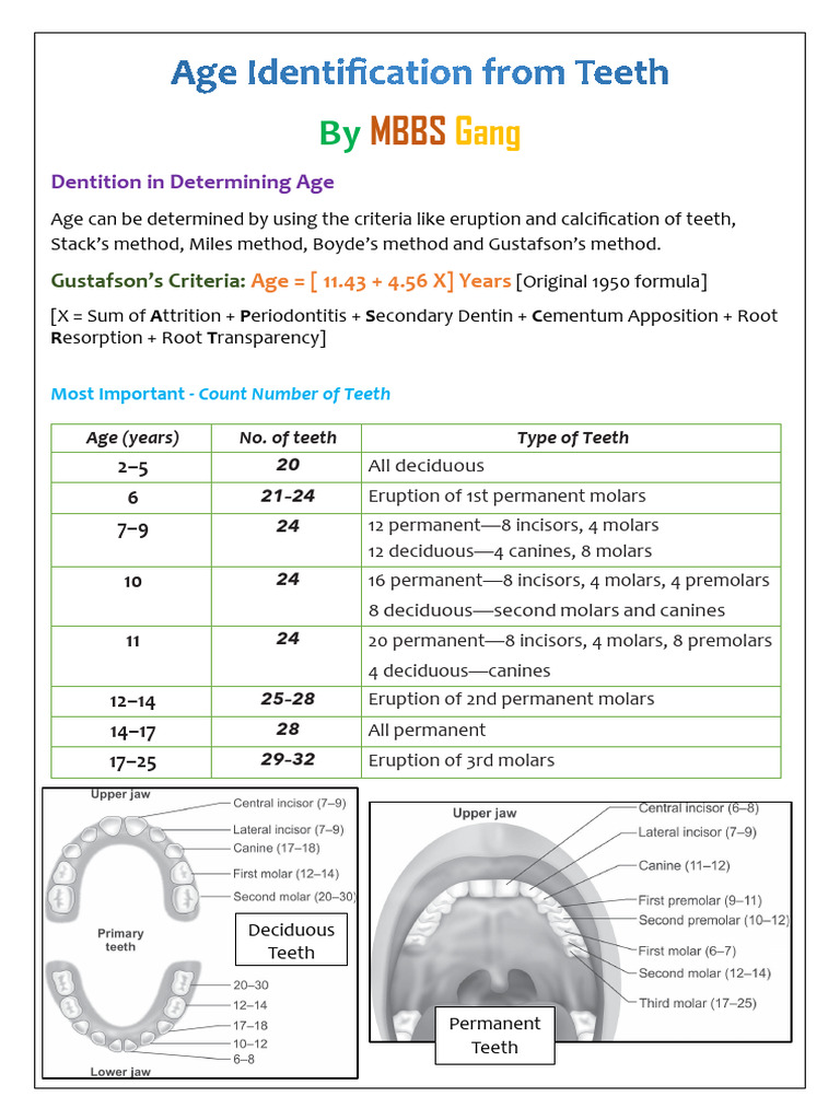 Age Identification From Teeth | PDF | Dental Anatomy | Tooth