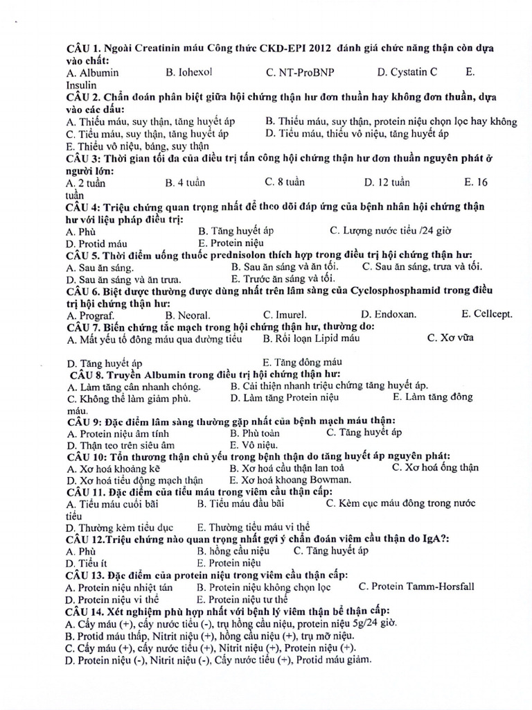 trắc nghiệm CK1 Than 2024 | PDF