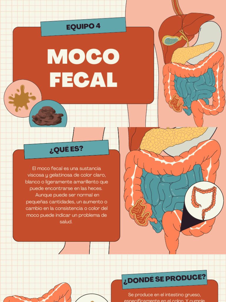 Moco Fecal | PDF | Moco | Heces