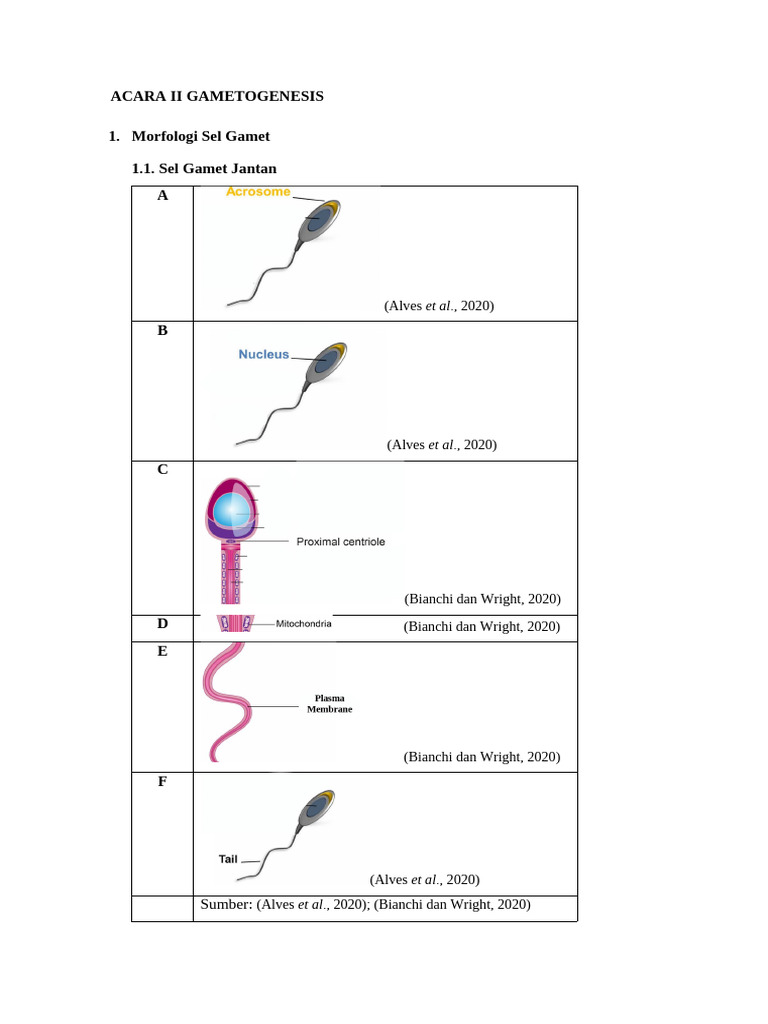 Logbook Praktikum | PDF