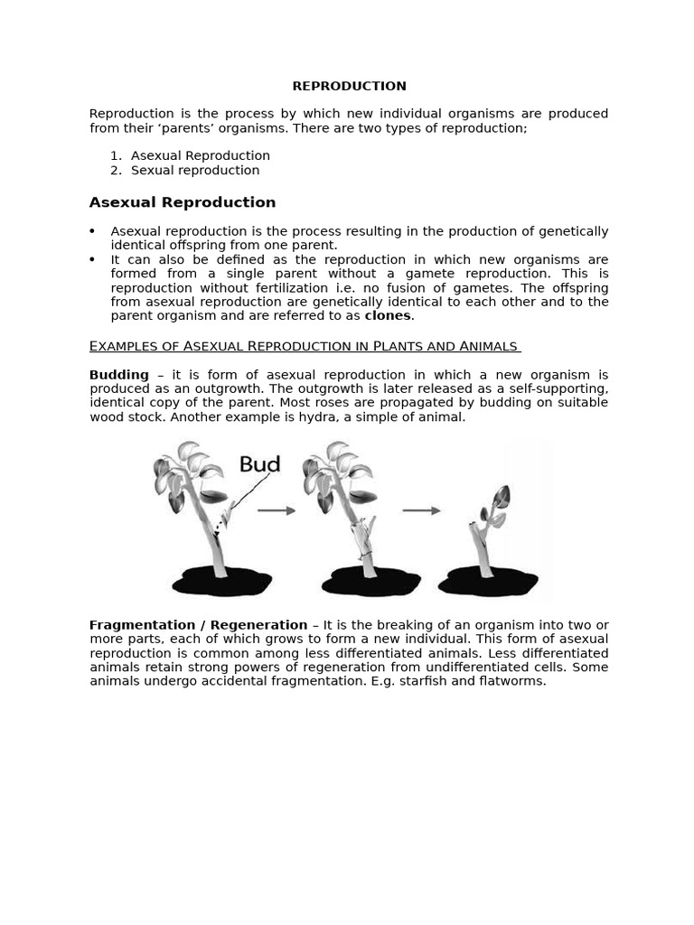 Reproductive Parts of Flowering Plants | PDF