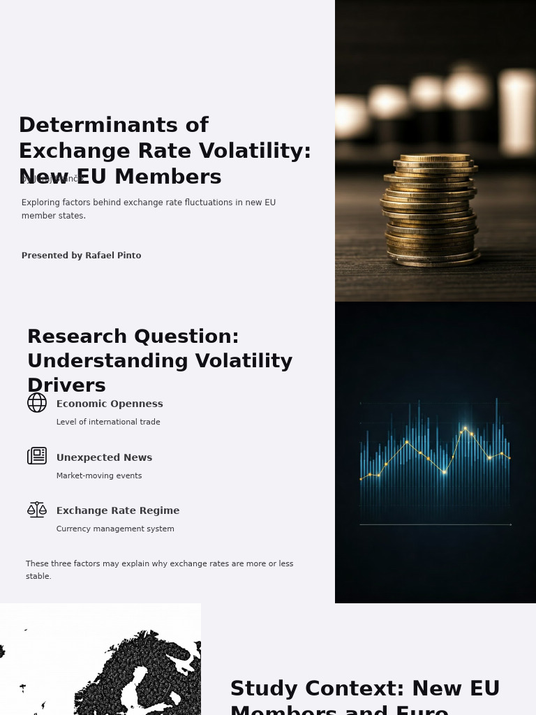 Exchange Rate Volatility in New EU States | PDF | Exchange Rate | Euro