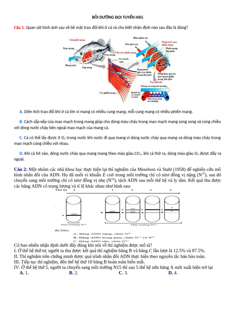 Luyện Đề Hsg Lop 12.5 | PDF