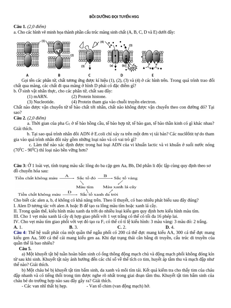 LUYỆN ĐỀ HSG LOP 12 | PDF