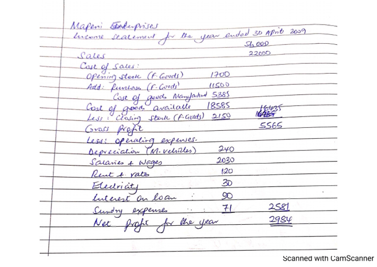 Mapeni - Income Statement | PDF