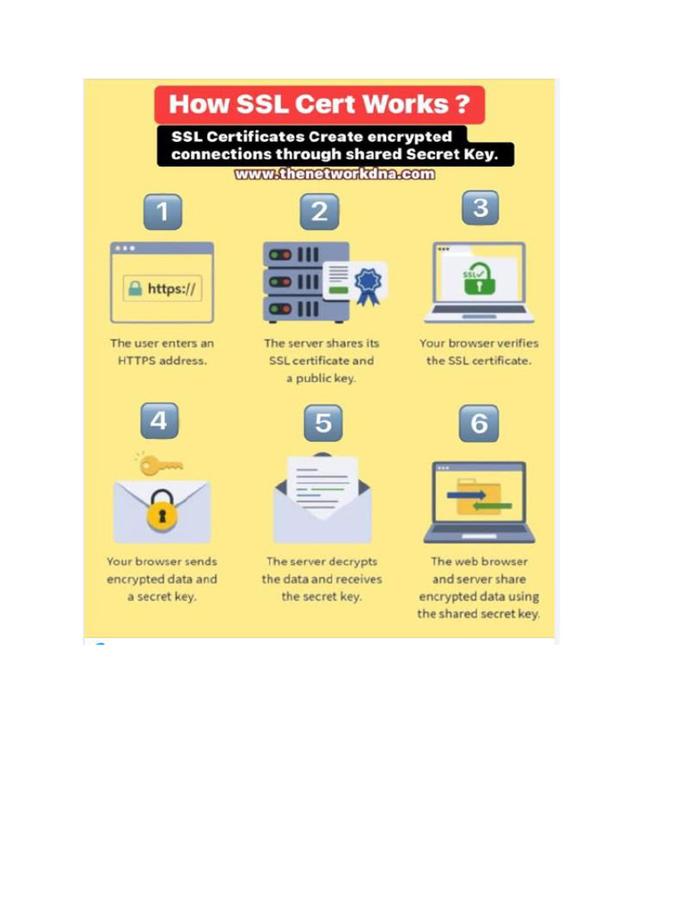 Ssl Cert Pdf