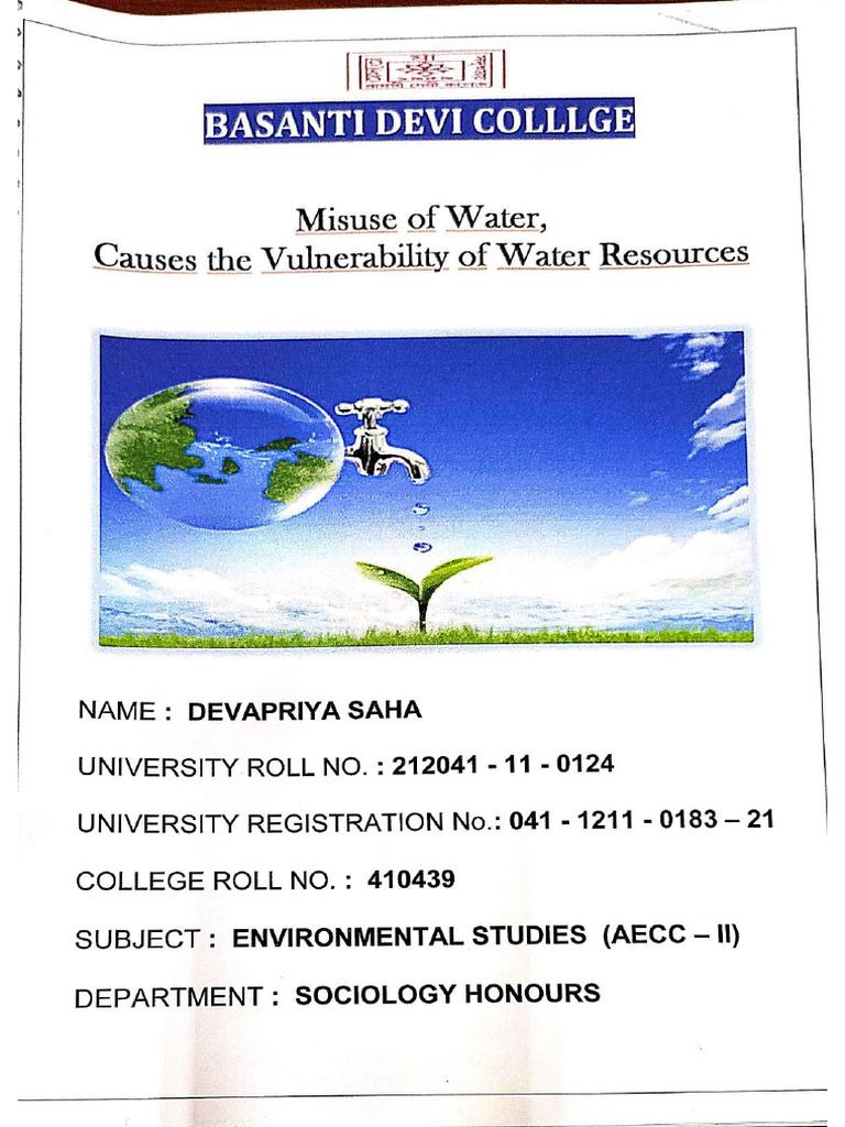 4 ENVS Project | PDF