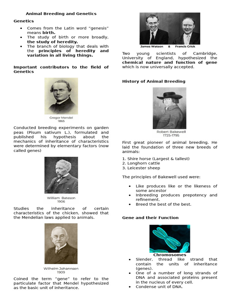 Animal Breeding And Genetics Overview Pdf Dominance Genetics
