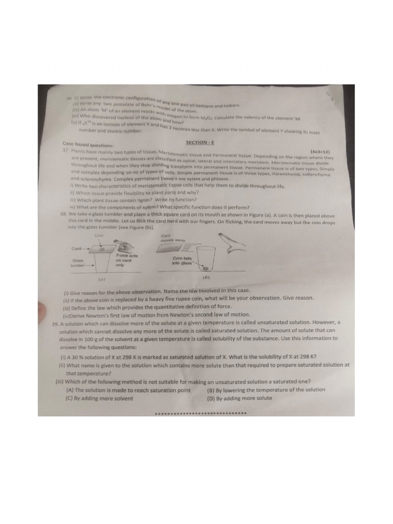 Plant Tissue Types and Functions Explained | PDF